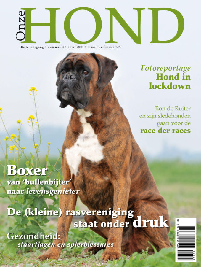 Dekking bij honden - Onze Hond