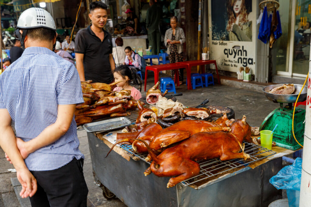 Zuid-Korea verbiedt eten van hondenvlees - Onze Hond