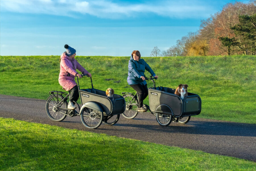 Vervoer in stijl: jouw hond verdient de beste bakfiets! - Onze Hond