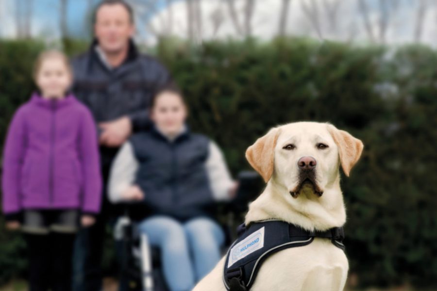 Hulphond Nederland eerste geaccrediteerde instelling ter wereld - Onze Hond