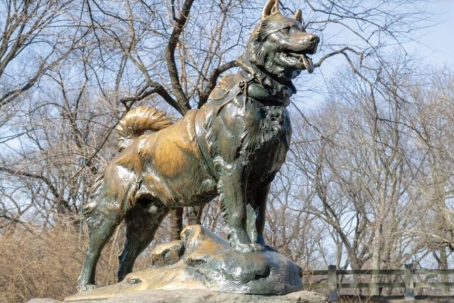 Balto: de held van de Great Race of Mercy - Onze Hond